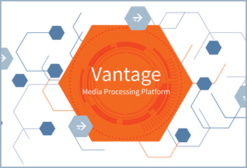 Buy online or through our helpful | Telestream Store